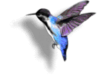Birds GIFs - Get the best gif on GIFER