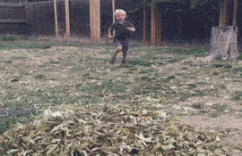 Afv GIFs - Get the best gif on GIFER