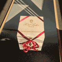 Wien GIFs - Get the best gif on GIFER