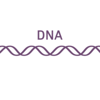 Dna GIFs - Get the best gif on GIFER