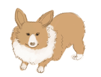 Welsh GIFs - Get the best gif on GIFER