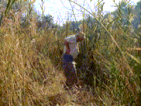 Prank GIFs - Get the best gif on GIFER