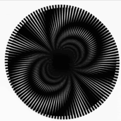 Moire GIFs - Get the best gif on GIFER