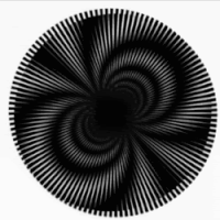 Moire GIFs - Get the best gif on GIFER