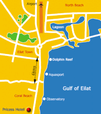 Tmp GIFs - Get the best gif on GIFER