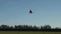 Mochila GIFs - Get the best gif on GIFER
