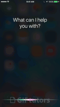 Siri GIFs - Get the best gif on GIFER