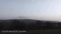Murmuration GIFs - Get the best gif on GIFER