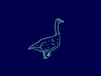 Goose GIFs - Get the best gif on GIFER