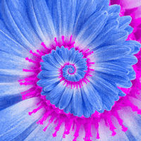 Biodiversity GIFs - Get the best gif on GIFER