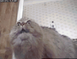 Ptsd GIFs - Get the best gif on GIFER