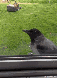 Scare crow GIFs - Get the best gif on GIFER