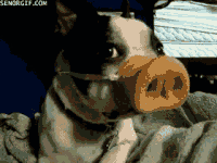 Genetic mutation GIFs - Get the best gif on GIFER