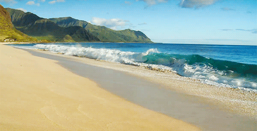 Island breeze GIFs - Obtenez le meilleur gif sur GIFER