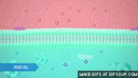 Membrane GIFs - Get the best gif on GIFER