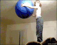 David GIFs - Get the best gif on GIFER