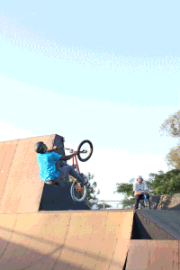 Deve ver GIF - Conseguir o melhor gif em GIFER