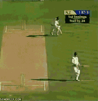 Cricket GIFs - Get the best gif on GIFER