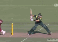 Cricket GIFs - Get the best gif on GIFER