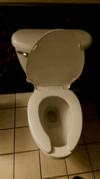 Toilets GIFs - Get the best gif on GIFER