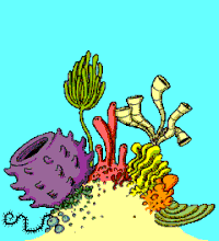 Corail GIFs - Get the best gif on GIFER