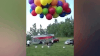 Helium GIFs - Get the best gif on GIFER