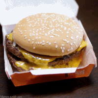 Cheeseburger GIFs - Get the best gif on GIFER