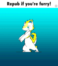 Furry GIFs - Get the best gif on GIFER