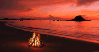 Campfire GIFs - Get the best gif on GIFER