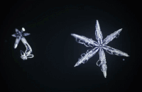 Cristal GIFs - Get the best gif on GIFER