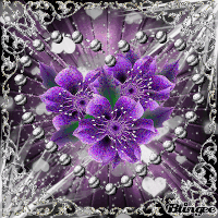 Lila GIFs - Get the best gif on GIFER