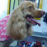 Cuidado GIFs - Get the best gif on GIFER