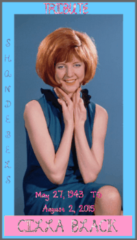 Силла GIFs - Get the best gif on GIFER