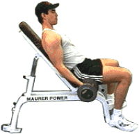 Bicep GIFs - Get the best gif on GIFER