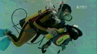 Scuba GIFs - Get the best gif on GIFER