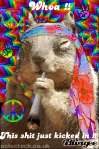 Hippie GIFs - Get the best gif on GIFER