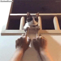 Twiddling GIFs - Get the best gif on GIFER