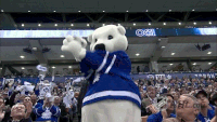 Nhl GIFs - Get the best gif on GIFER