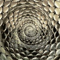 Snakes GIFs - Get the best gif on GIFER