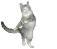 Adhesiv GIFs - Get the best gif on GIFER