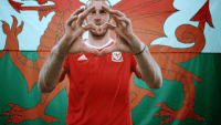 Wales GIFs - Get the best gif on GIFER