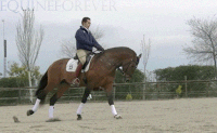 Riding GIFs - Get the best gif on GIFER