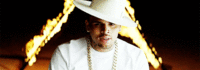 Cryptic GIFs - Get the best gif on GIFER
