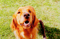 Pushing GIFs - Get the best gif on GIFER