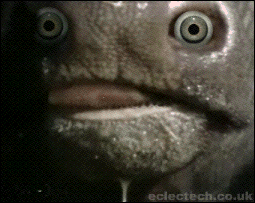 Soggy GIFs - Get the best gif on GIFER