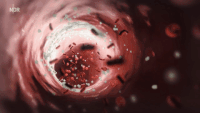 Sangre GIFs - Get the best gif on GIFER