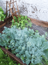 Lista GIFs - Get the best gif on GIFER