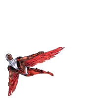 Falcon GIFs - Get the best gif on GIFER