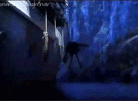 Undecided GIFs - Get the best gif on GIFER