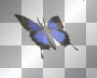 Model behavior GIFs - Get the best gif on GIFER